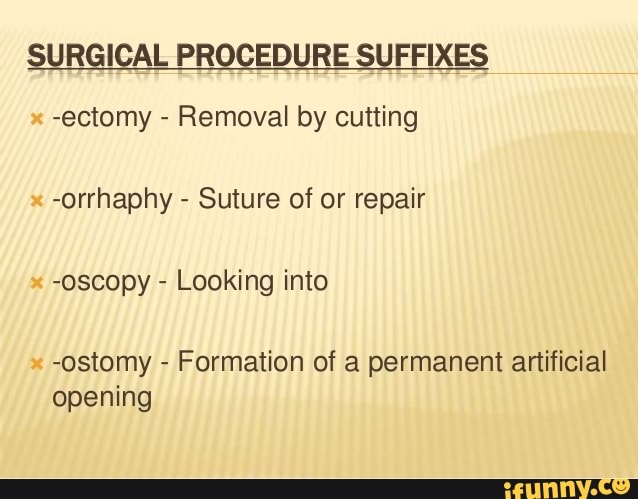 SURGICAL PROCEDURE SUFFIXES -ectomy - Removal by cutting -orrhaphy ...