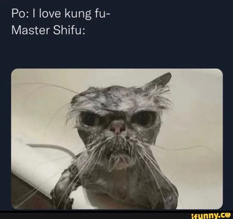 Po: I love kung fu- Master Shifu: - iFunny