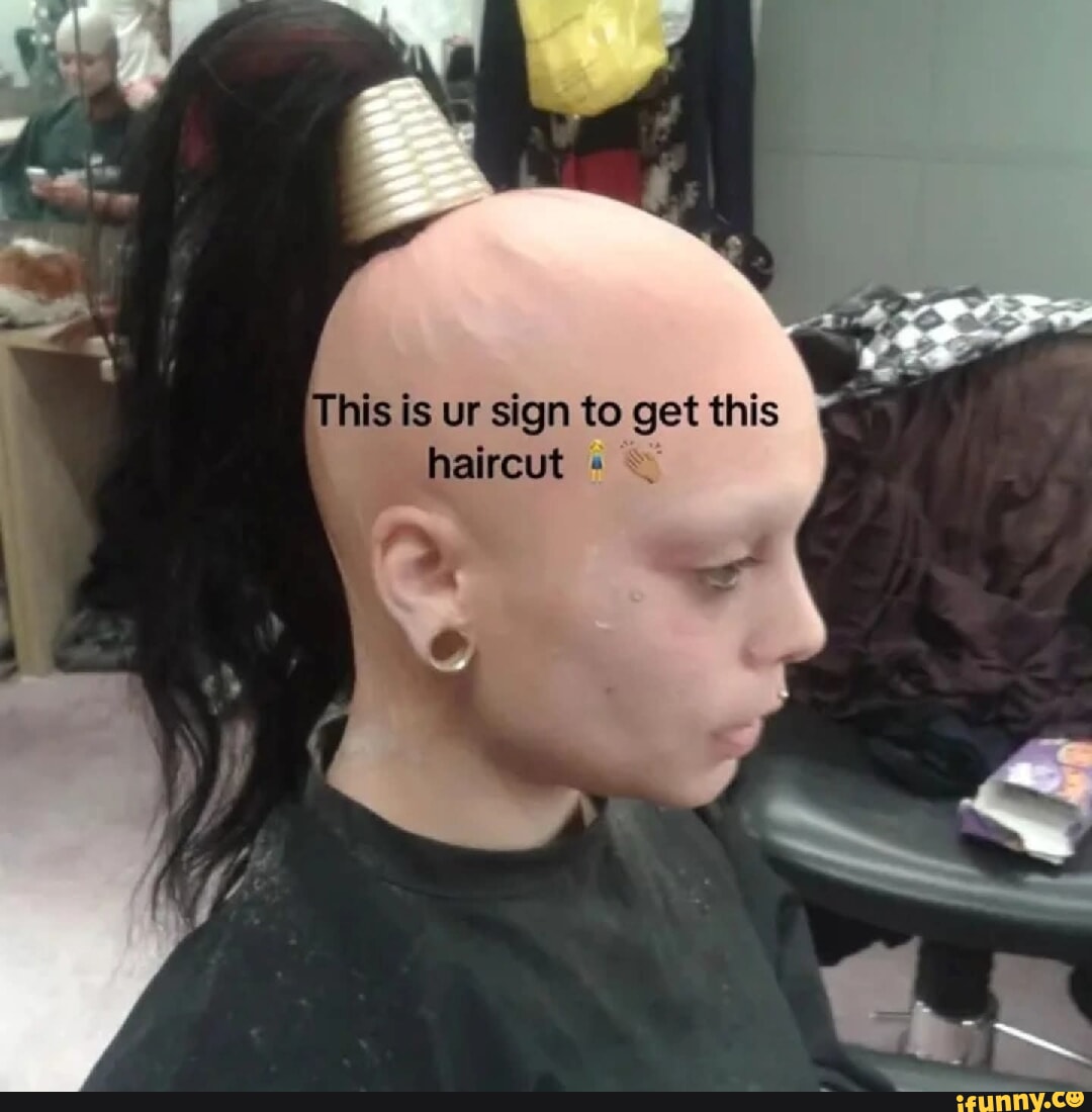 Ponytail memes. Best Collection of funny Ponytail pictures on iFunny