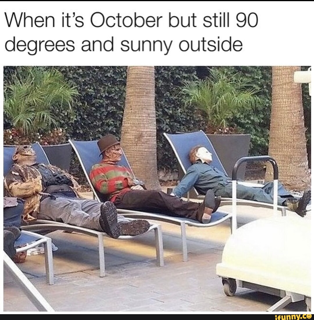 Picture memes lFMEnJvsA by ManteaDumgongSeelArchive - iFunny