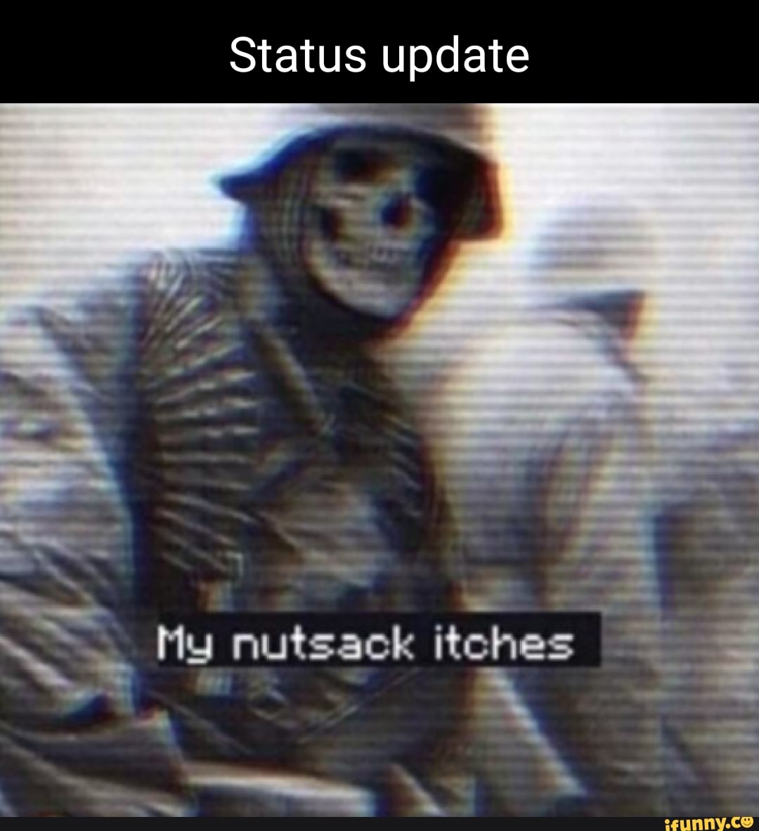 Nutsack memes. Best Collection of funny Nutsack pictures on iFunny