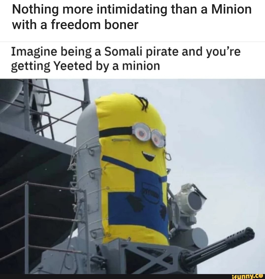 Militaryminions memes. Best Collection of funny Militaryminions ...