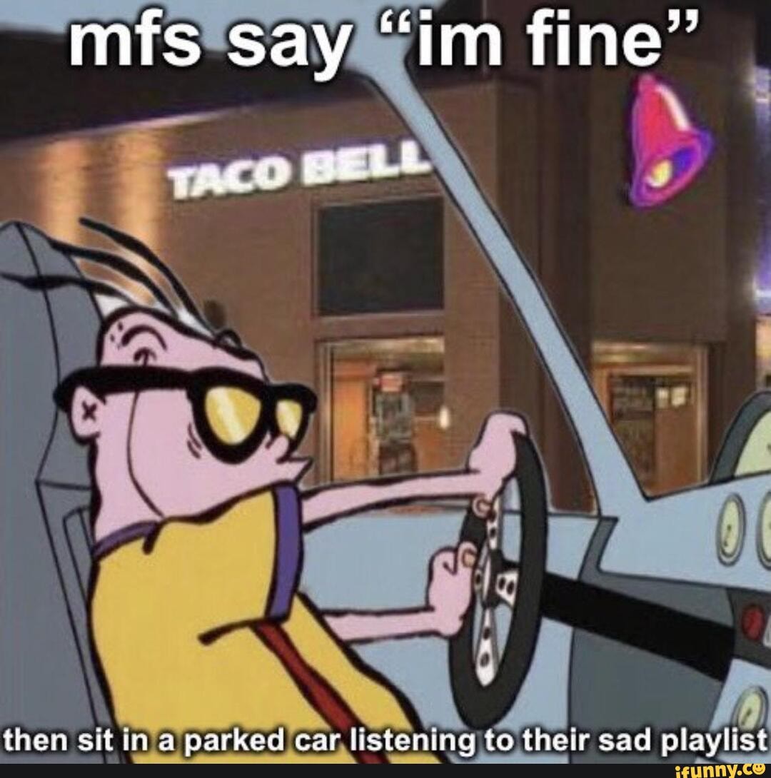 Mfs say "im fine" my then sit in a parked car listenina'to to their sad ...