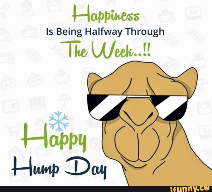 Ajeek memes. Best Collection of funny Ajeek pictures on iFunny