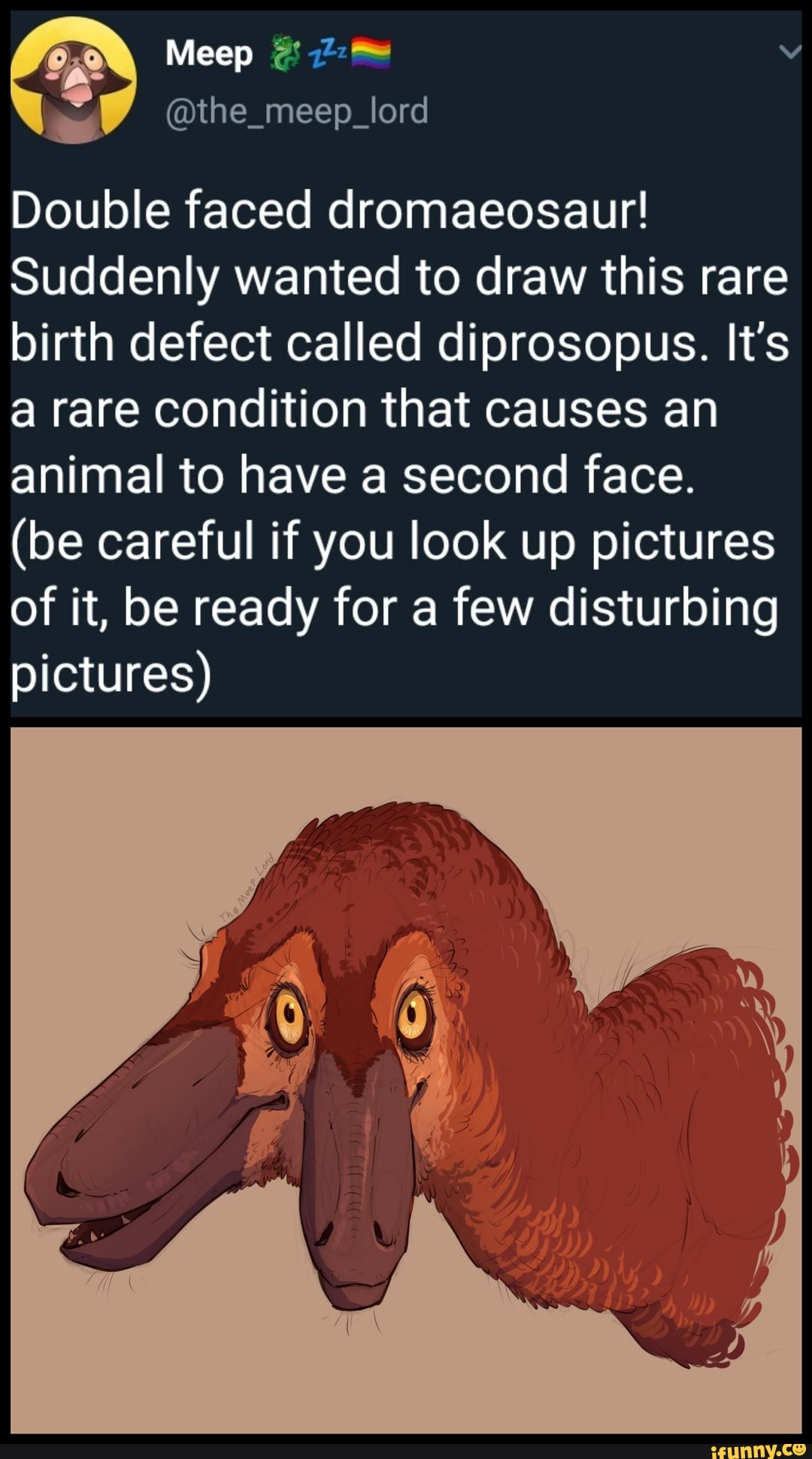 Diprosopus memes. Best Collection of funny Diprosopus pictures on iFunny