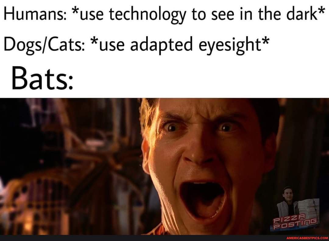 Humans: *use technology to see in the dark* *use adapted eyesight* Bats ...