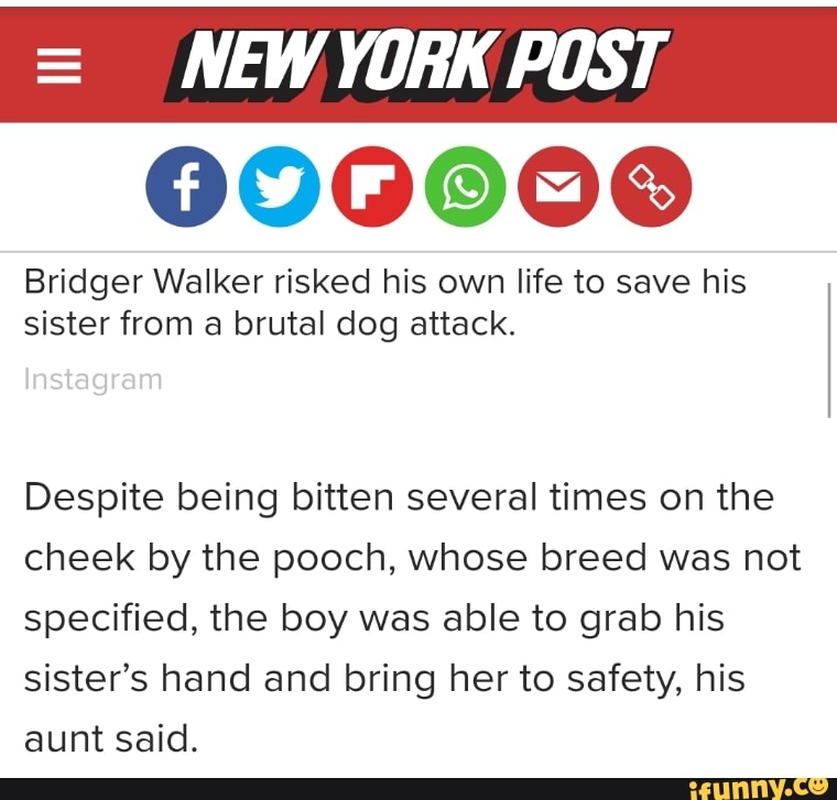 000000 Bridger Walker risked his own life to save his sister from a ...
