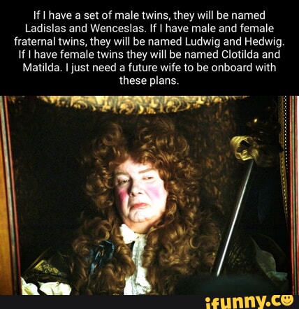 Hedwig memes. Best Collection of funny Hedwig pictures on iFunny