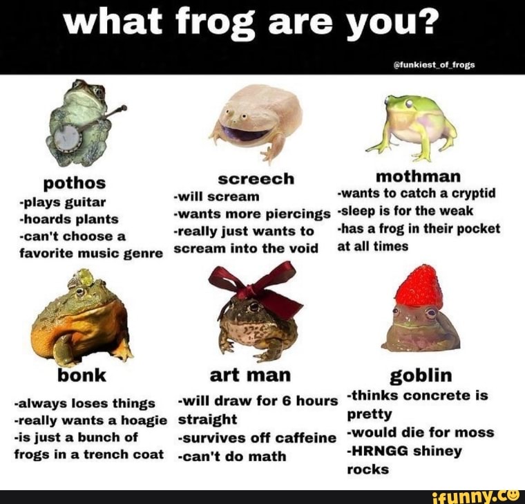What frog are you? pothos -plays guitar -hoards plants -can't choose a ...