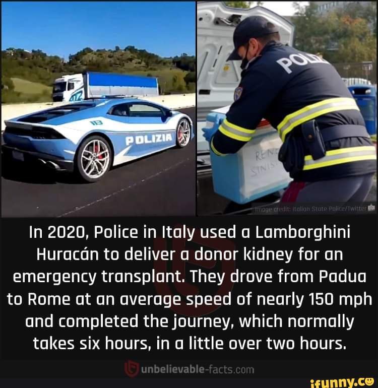 Speed memes. Best Collection of funny Speed pictures on iFunny