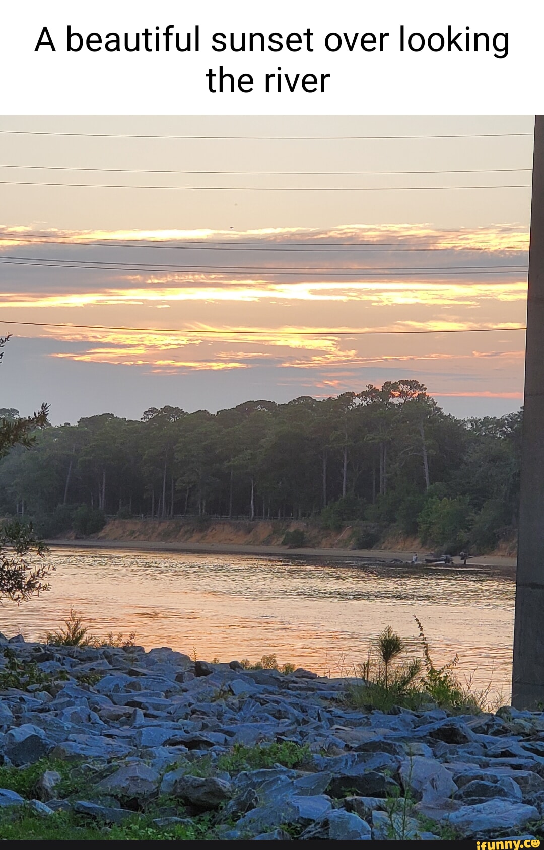 420 memes. Best Collection of funny 420 pictures on iFunny