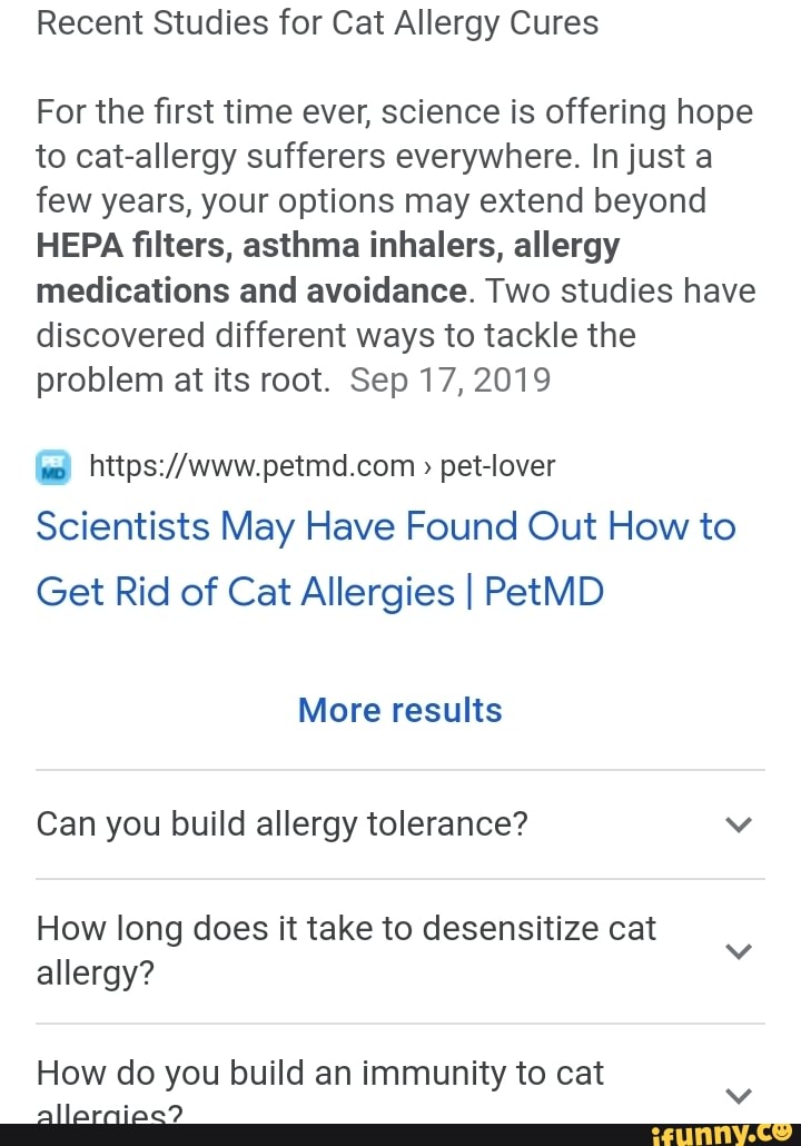 Hepa memes. Best Collection of funny Hepa pictures on iFunny