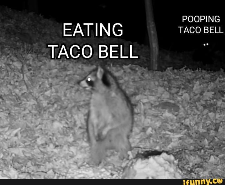 POOPING EATING TACO BELL TACO BELL - iFunny