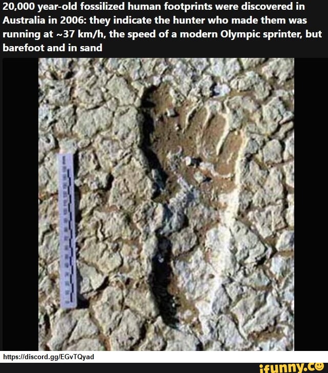 20 000 Year Old Fossilized Human Footprints Were Discovered In