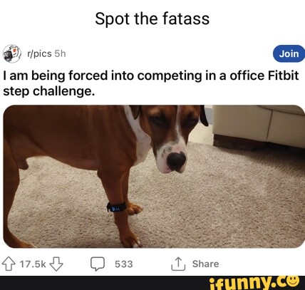 Spot the fatass vics sh am being forced into competing in a office ...