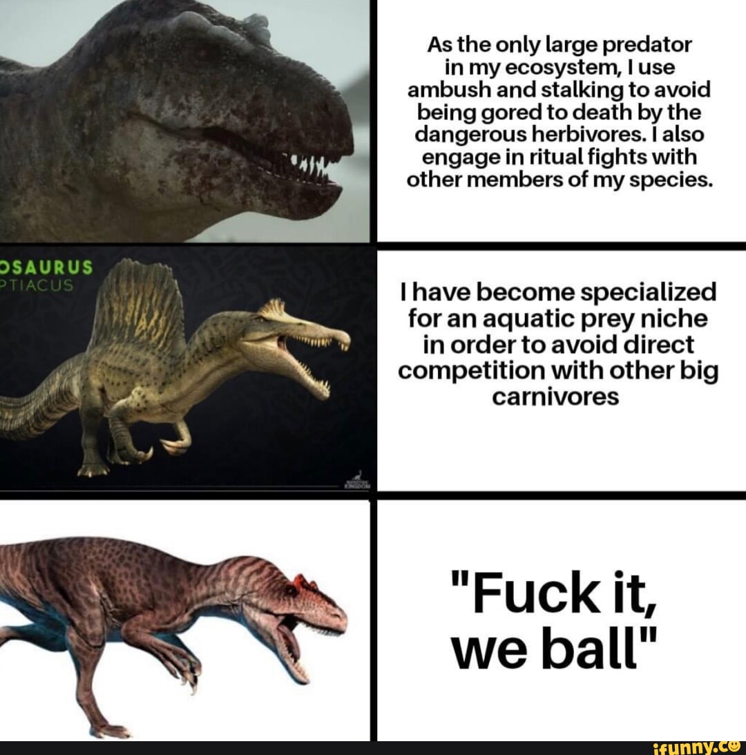 Ecosystem memes. Best Collection of funny Ecosystem pictures on iFunny