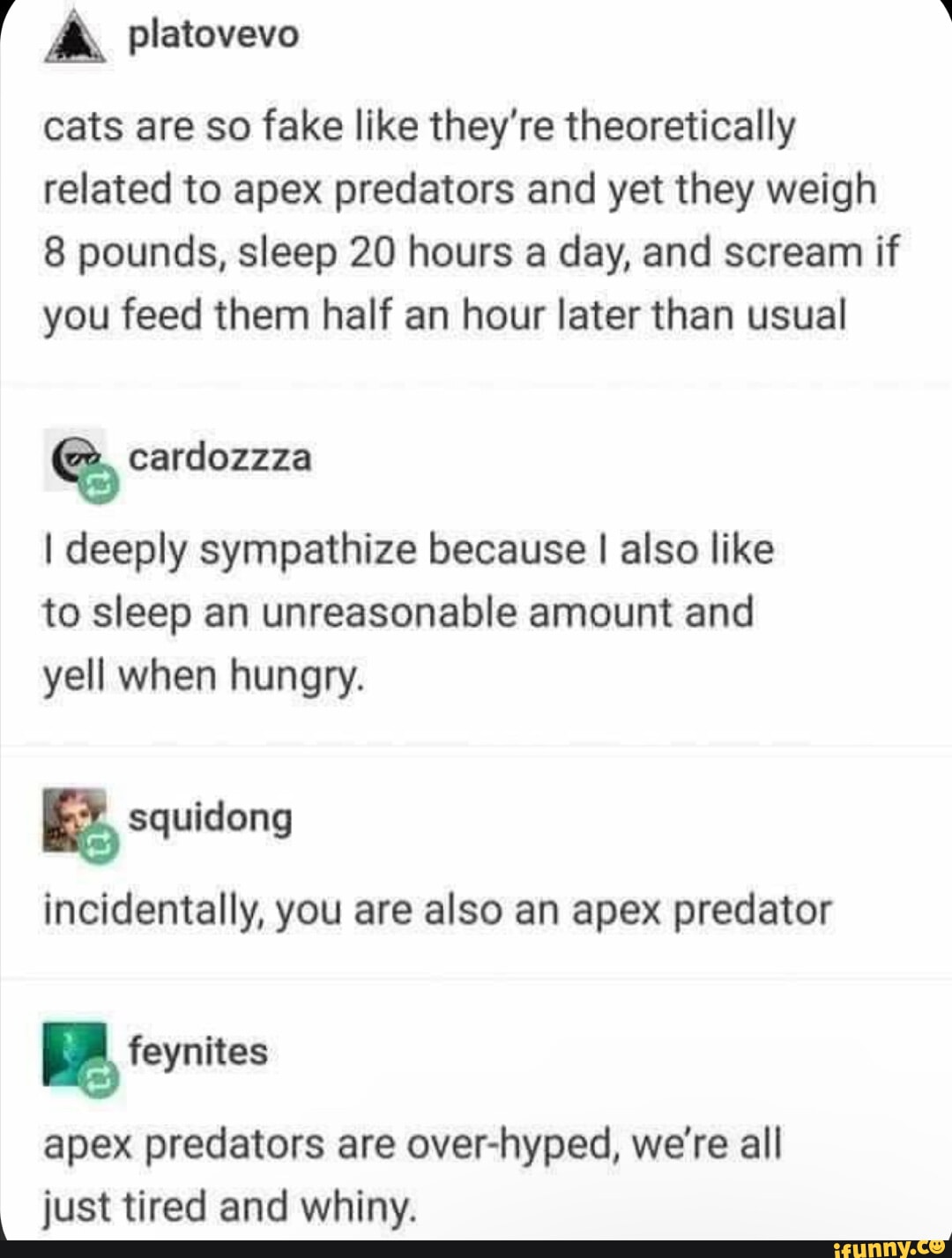 Theoretically memes. Best Collection of funny Theoretically pictures on ...