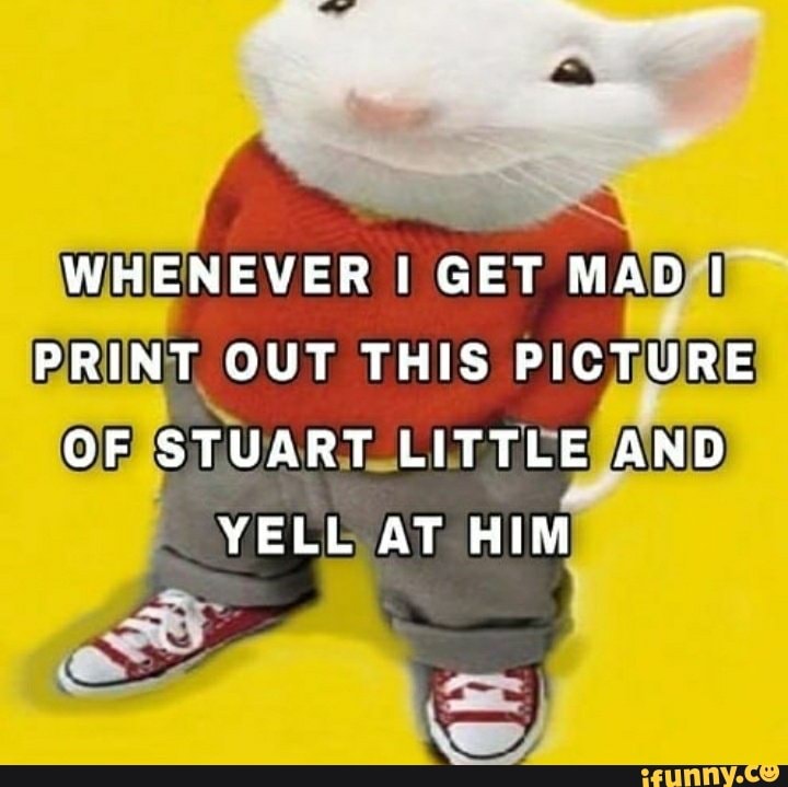 WHENEVER I GET MAD I PRINT OUT THIS PICTURE OF STUART LITTLE AND YELL ...