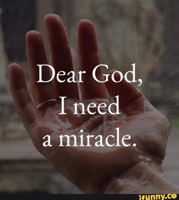 Miracle memes. Best Collection of funny Miracle pictures on iFunny