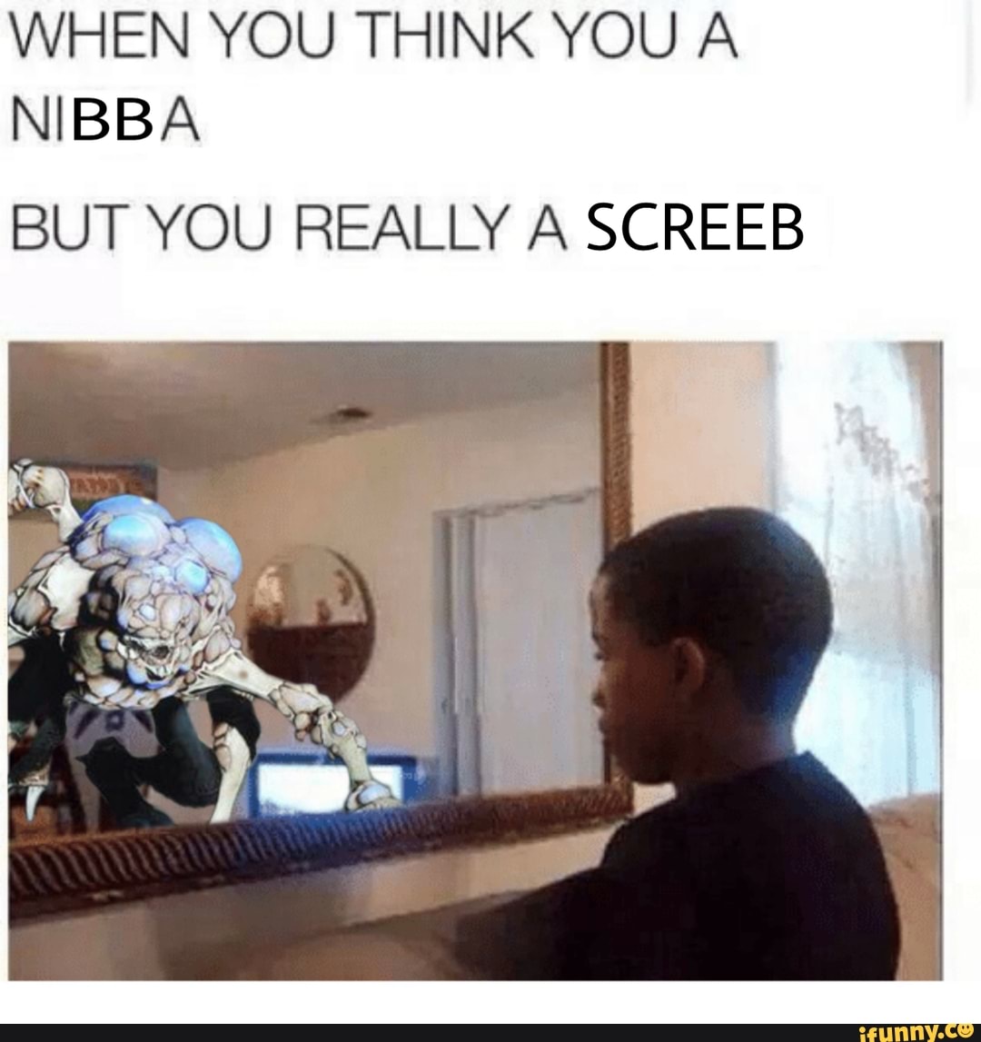 When You Think You A Nibba But You Really A Screeb