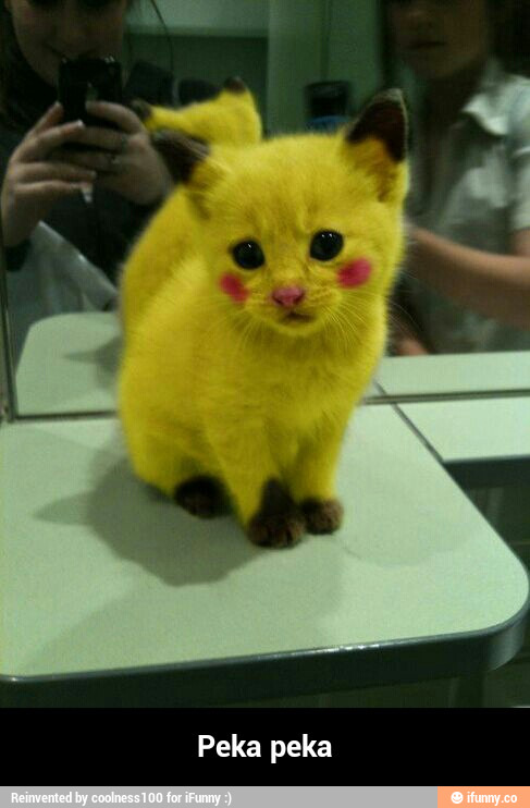 Peka memes. Best Collection of funny Peka pictures on iFunny