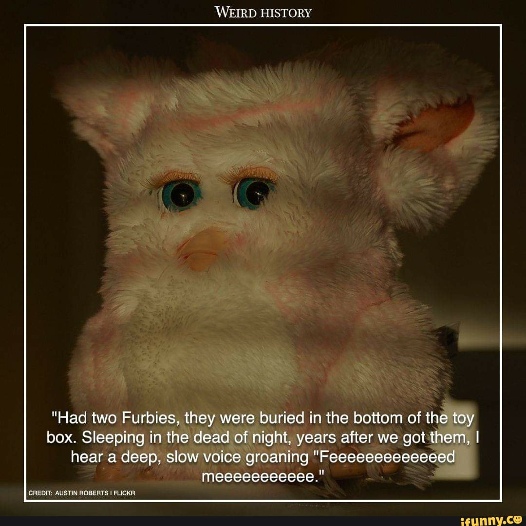 'WEIRD HISTORY "Had two Furbies, they were buried in the bottom of the ...