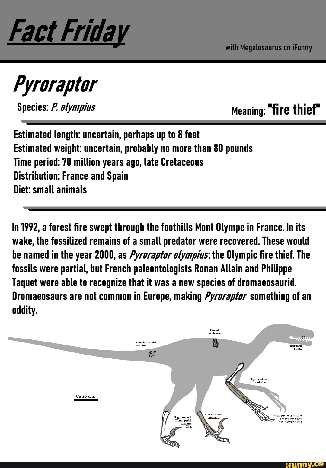 Pyroraptor memes. Best Collection of funny Pyroraptor pictures on iFunny