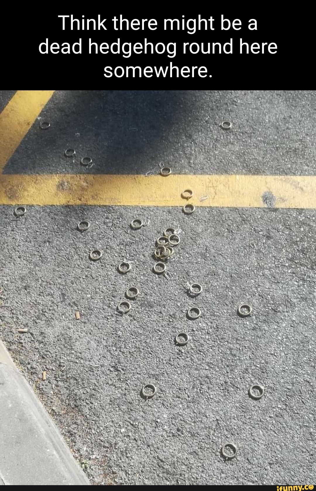 Think there might be a dead hedgehog round here somewhere. 6) Of - iFunny
