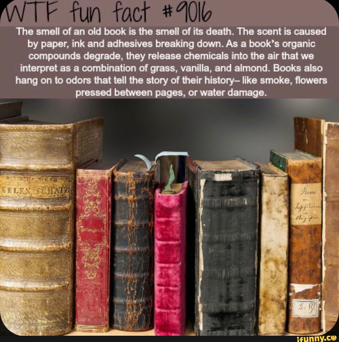 Adhesives memes. Best Collection of funny Adhesives pictures on iFunny