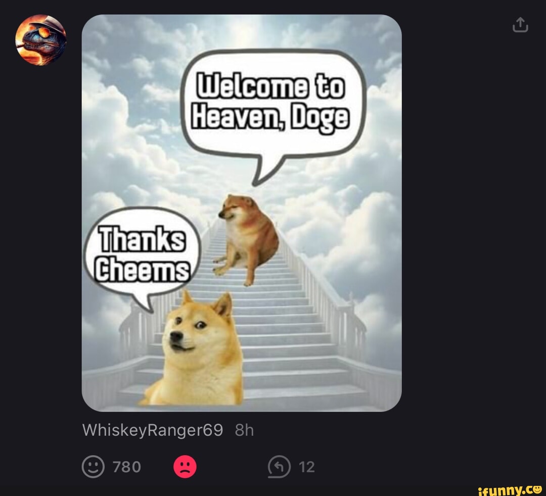 Cheems memes. Best Collection of funny Cheems pictures on iFunny