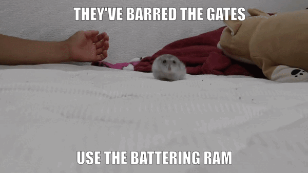 THEY'VE BARRED THE GATES USE THE BATTERING RAM - iFunny