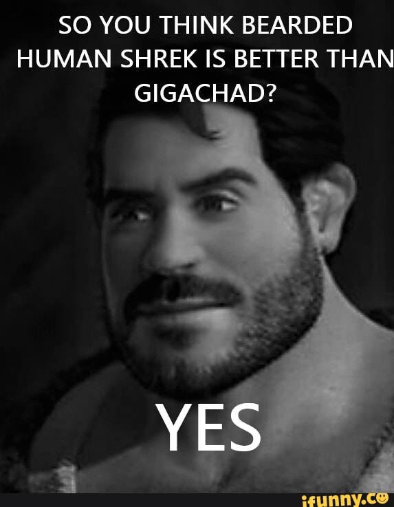 SO YOU THINK BEARDED HUMAN SHREK IS BETTER THAN GIGACHAD? YES - iFunny