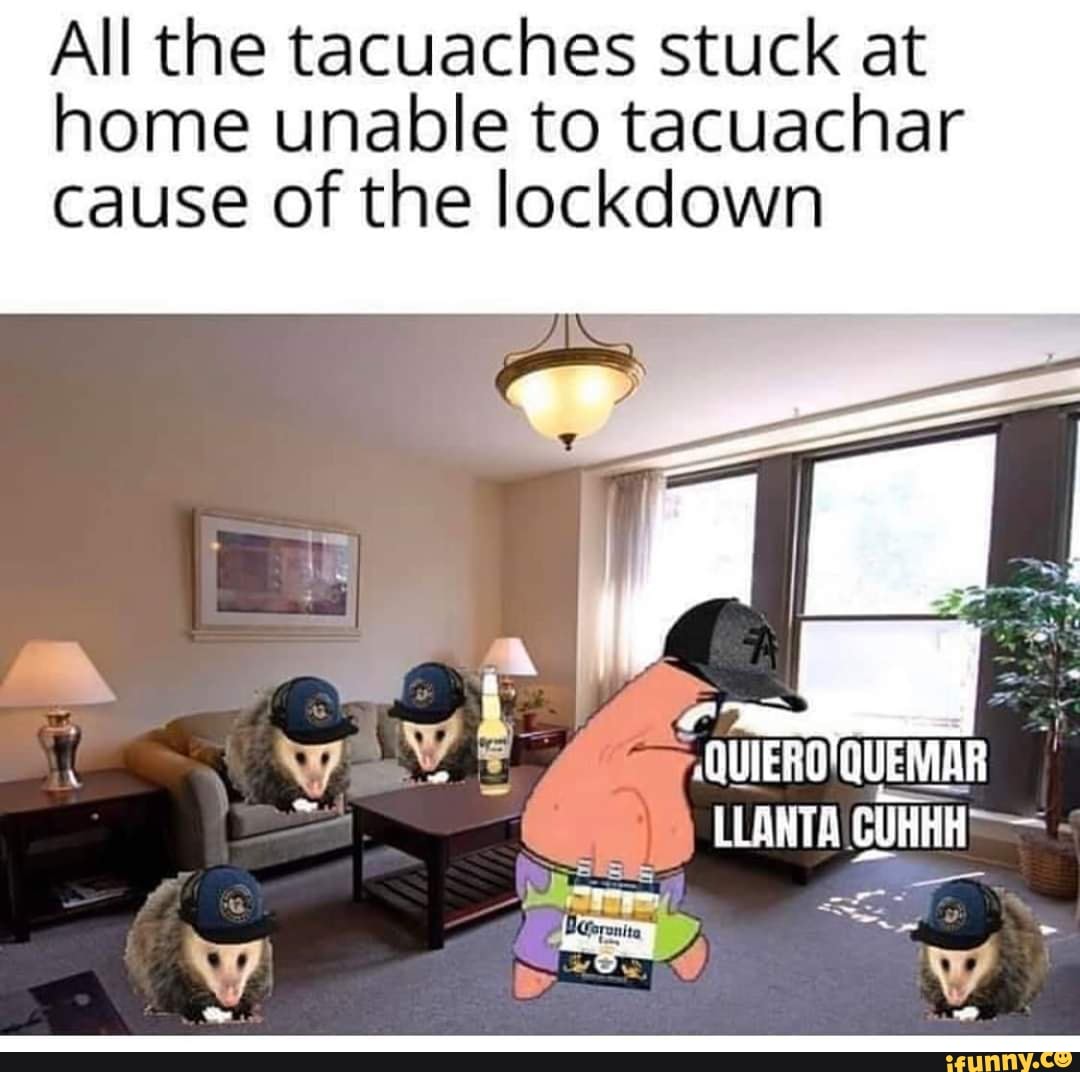 Tacuaches memes. Best Collection of funny Tacuaches pictures on iFunny