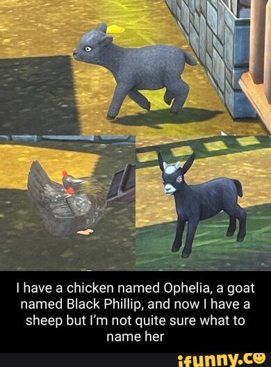 Sheep memes. Best Collection of funny Sheep pictures on iFunny