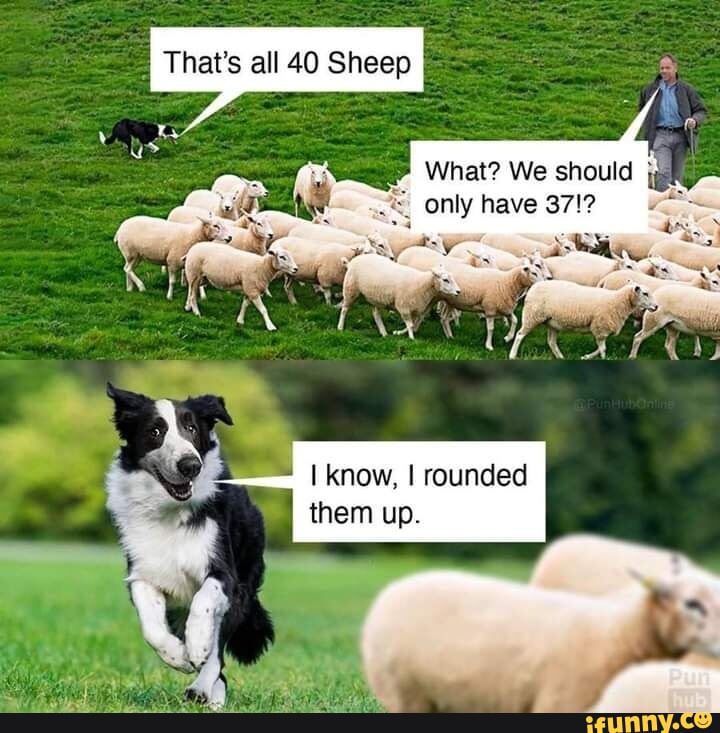 Sheep memes. Best Collection of funny Sheep pictures on iFunny