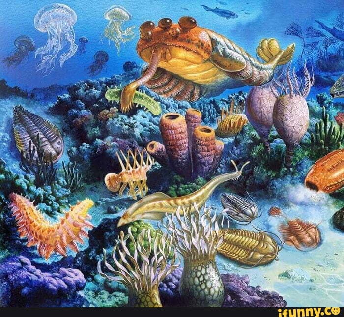 Cambrian_explosion memes. Best Collection of funny Cambrian_explosion ...