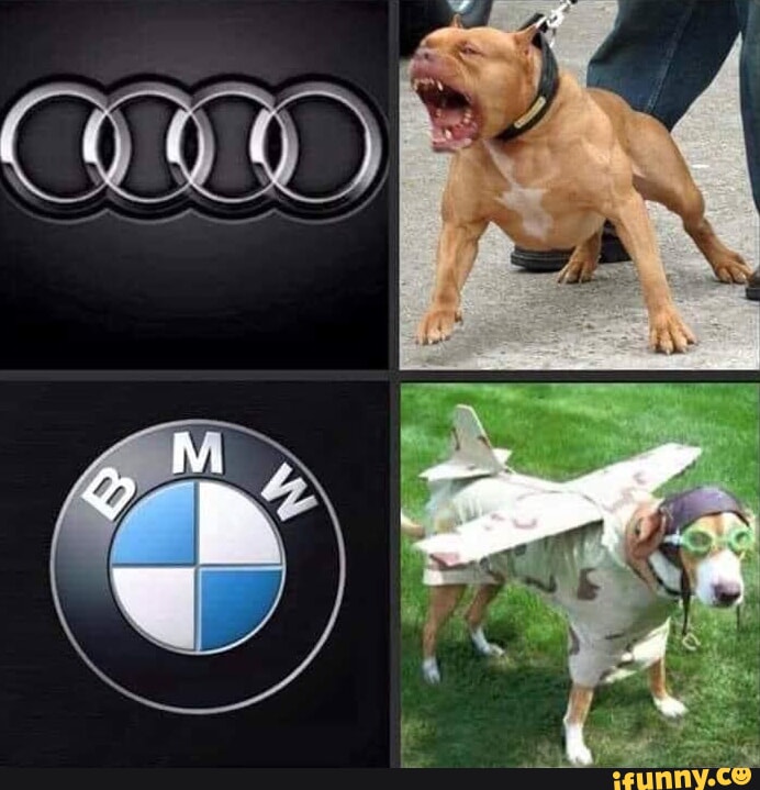 Beamer memes. Best Collection of funny Beamer pictures on iFunny