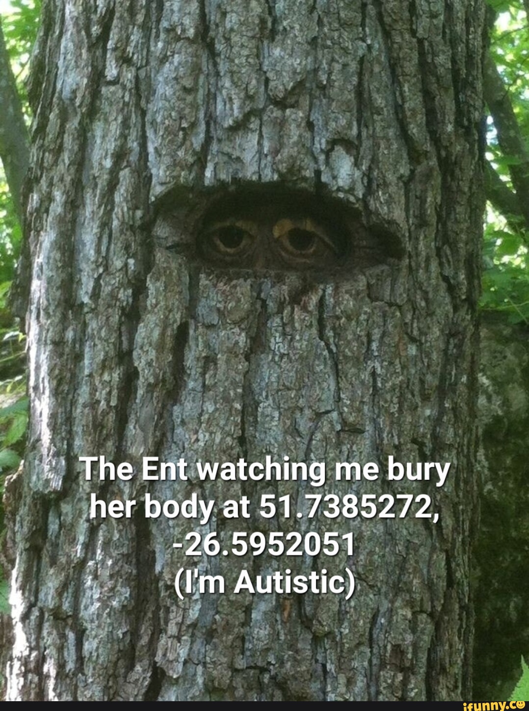 Bury memes. Best Collection of funny Bury pictures on iFunny