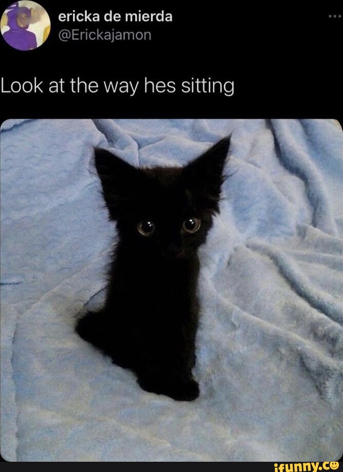 Ericka memes. Best Collection of funny Ericka pictures on iFunny