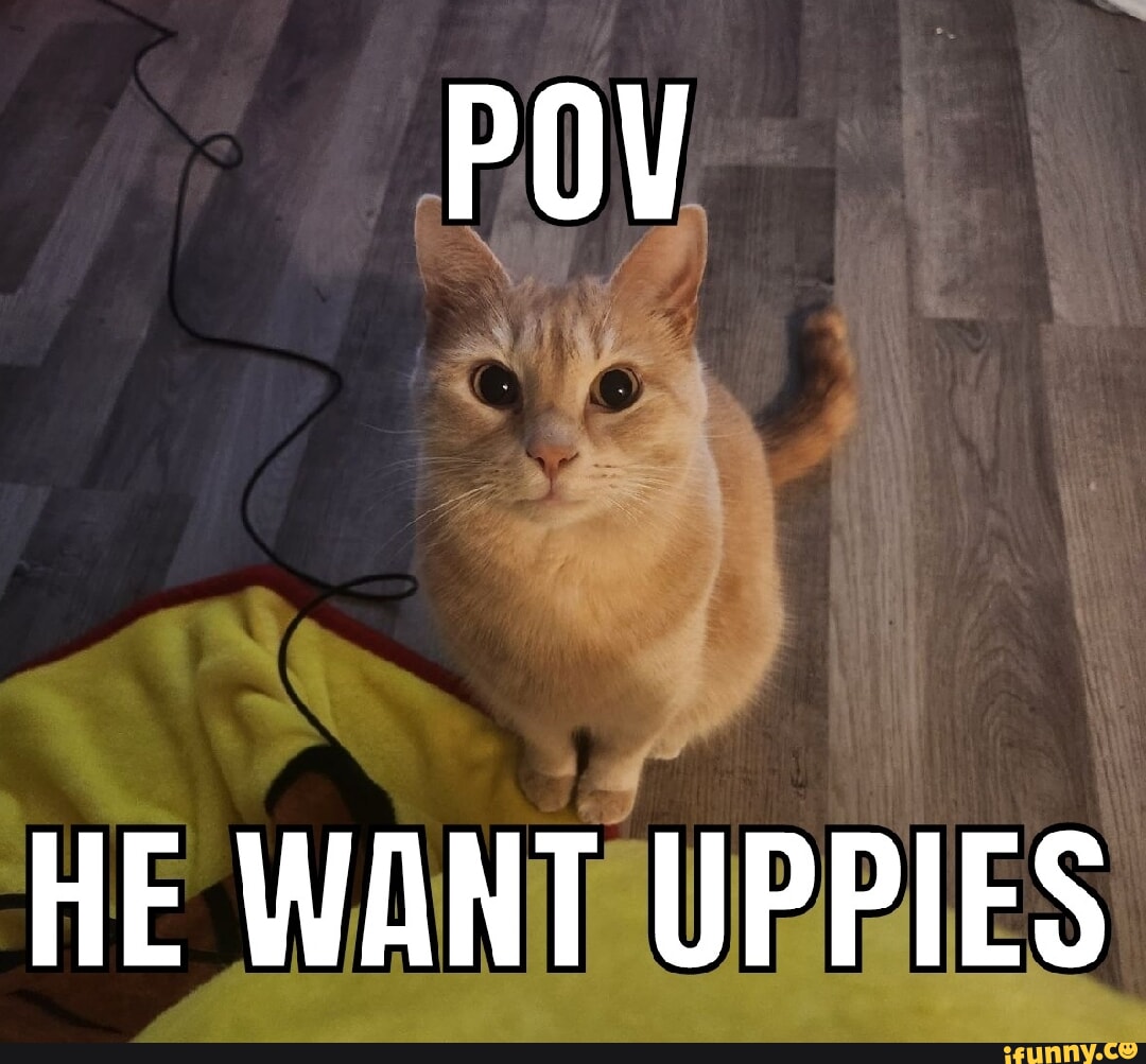 Uppies memes. Best Collection of funny Uppies pictures on iFunny