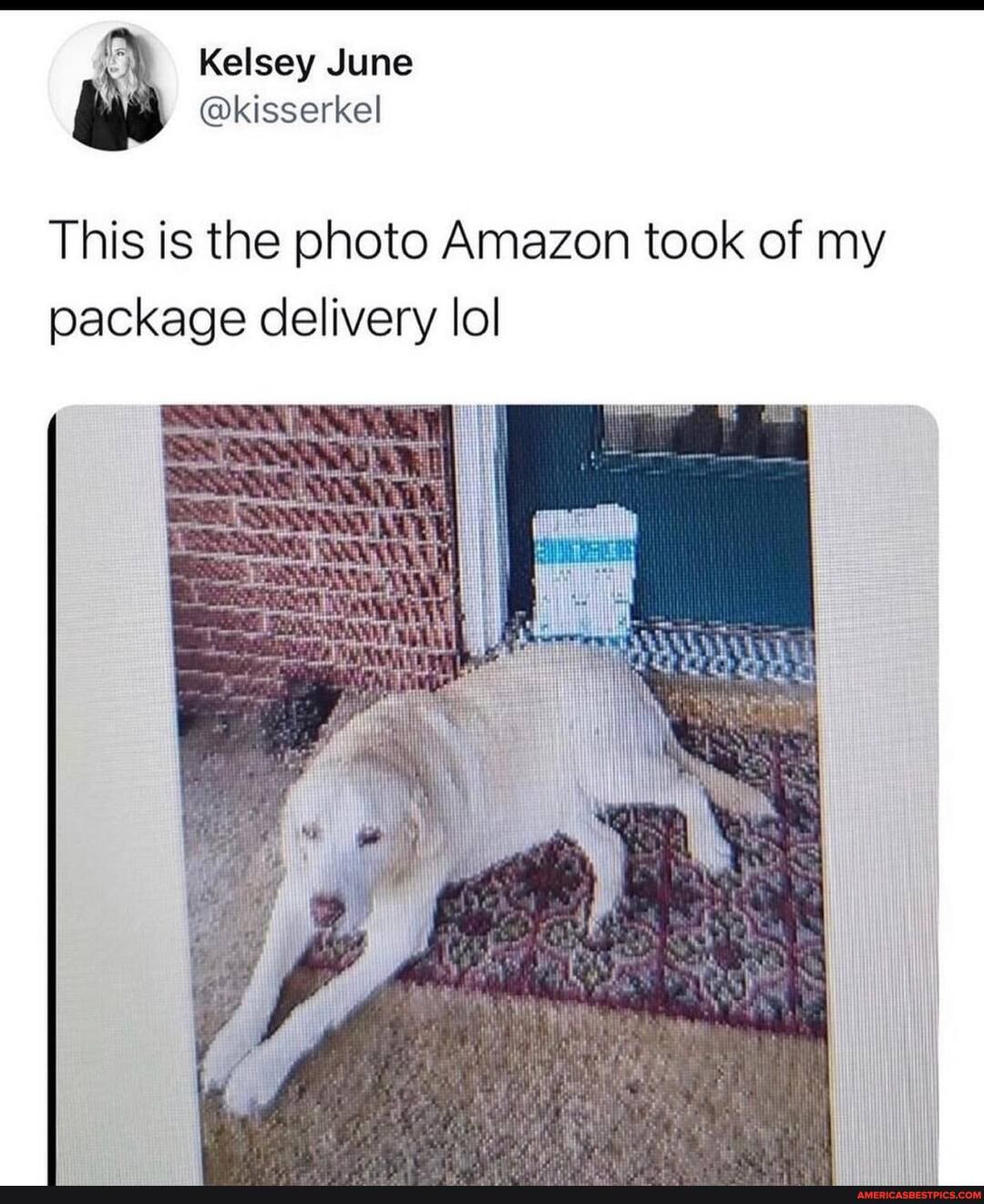 Kelsey This is the photo Amazon took of my package delivery lol ...