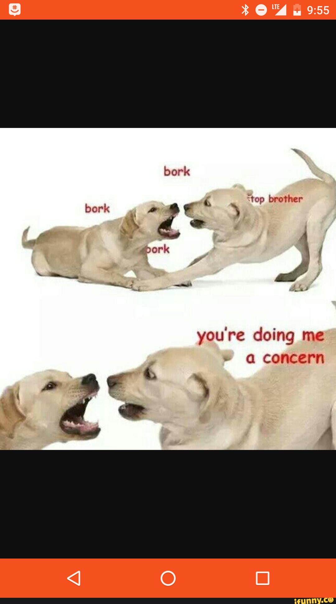 Funny Stolen Memes pt 1 - bork stop brother berk :pork you're doing me ...