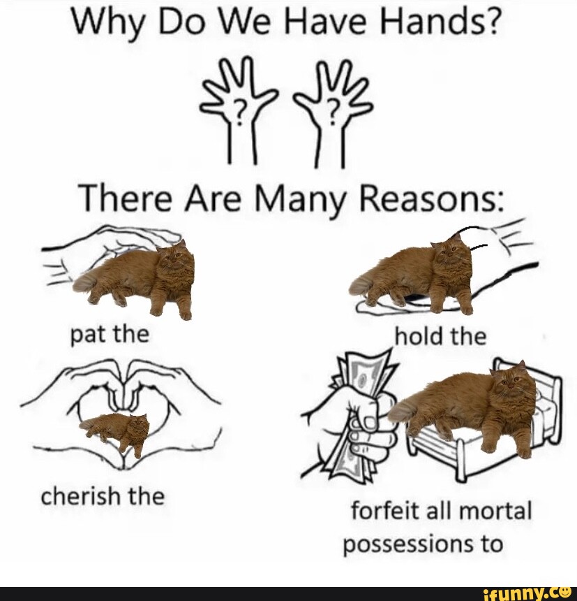 Picture memes TQSFXf4G7 by gamememguru_2019: 195 comments - seo.title