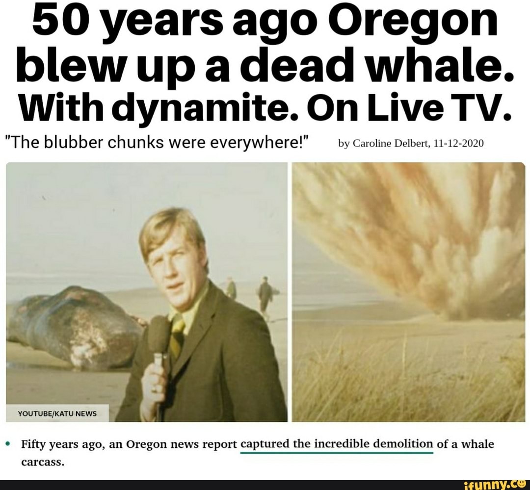 50 years ago Oregon blew up a dead whale. With dynamite. On Live TV ...