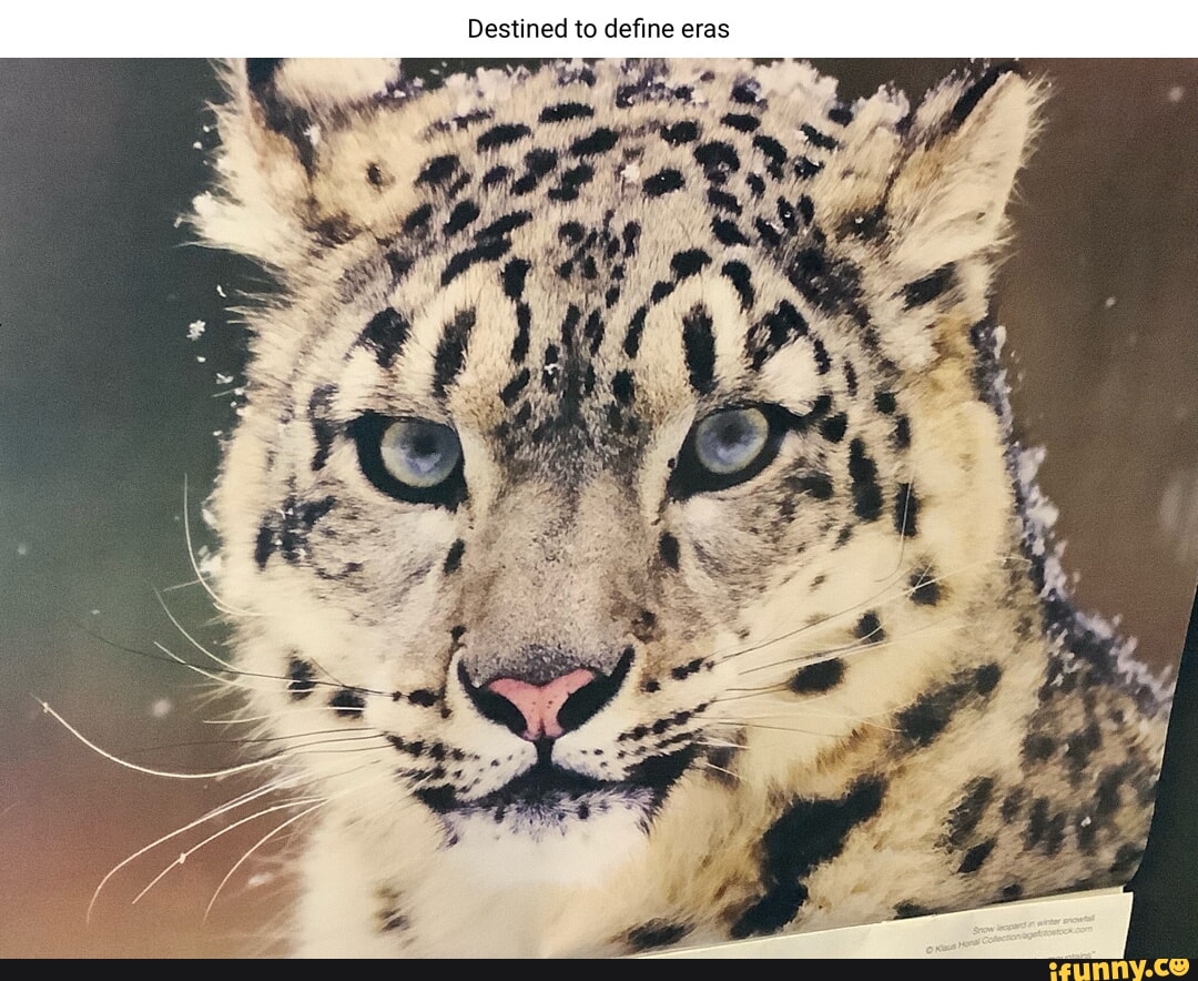 Destined to define eras - iFunny