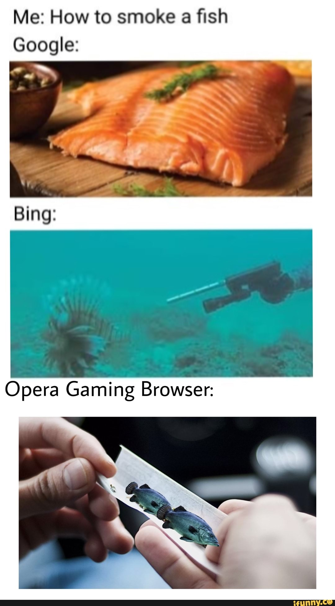 Vie: How to smoke a fish Google: Bing: Opera Gaming Browser: - iFunny