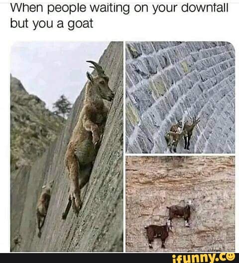 When people waiting on your downfall but you a goat - iFunny