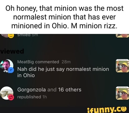 Oh honey, that minion was the most normalest minion that has ever ...