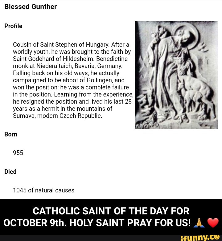 Gunther memes. Best Collection of funny Gunther pictures on iFunny