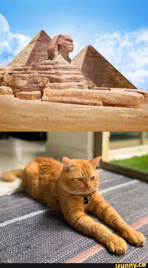 Great_sphinx_of_giza memes. Best Collection of funny Great_sphinx_of ...